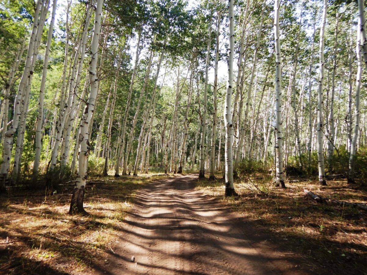 ATV Adventures: An ATV Iron Man adventure on the Arapeen Trail | News ...